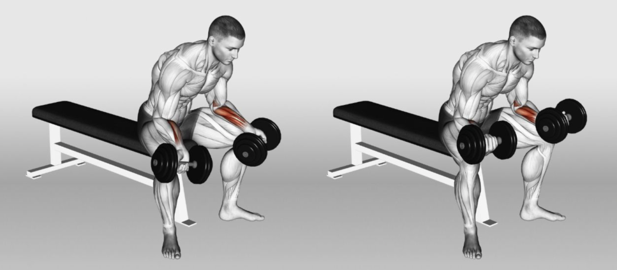 5 Mejor Manera Cómo Entrenar Los Antebrazos Con Mancuernas En El Gimnasio
