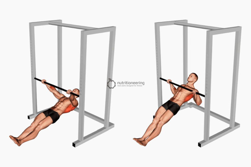 No Gym? No Problem! How to Work Biceps Without Weights