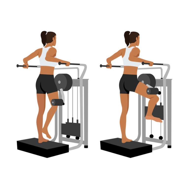 The Ultimate Guide to How to Use the Hip Abduction Machine